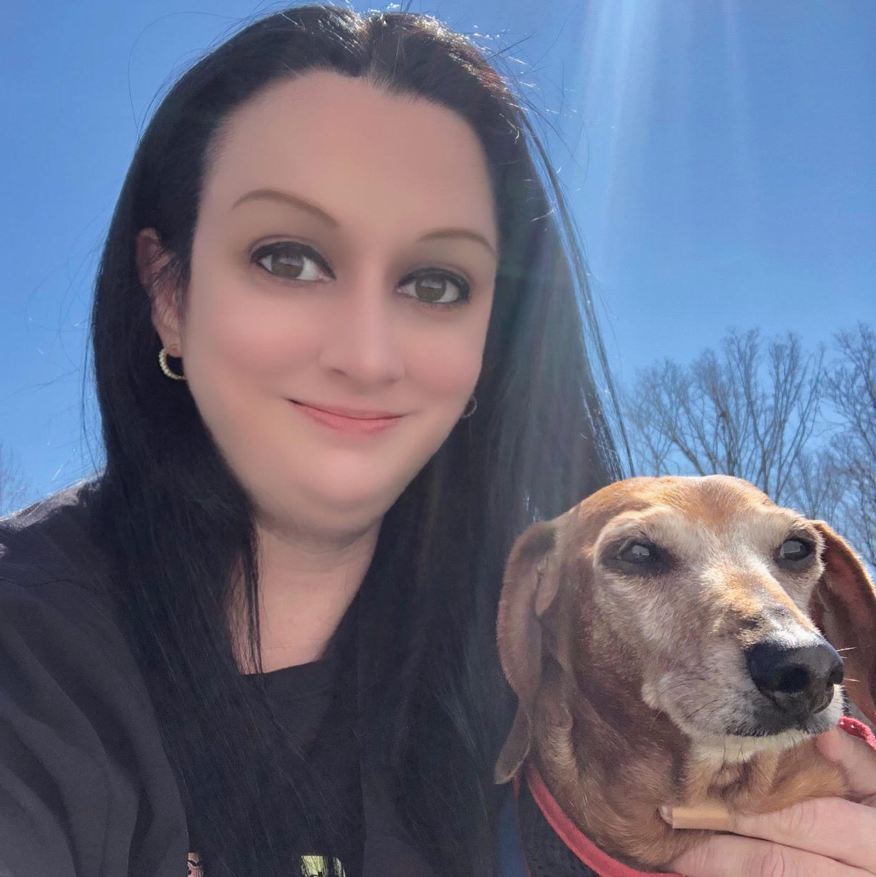 About Us - Oak Hill Veterinary Care & Pet Resort in Madison Heights VA ...