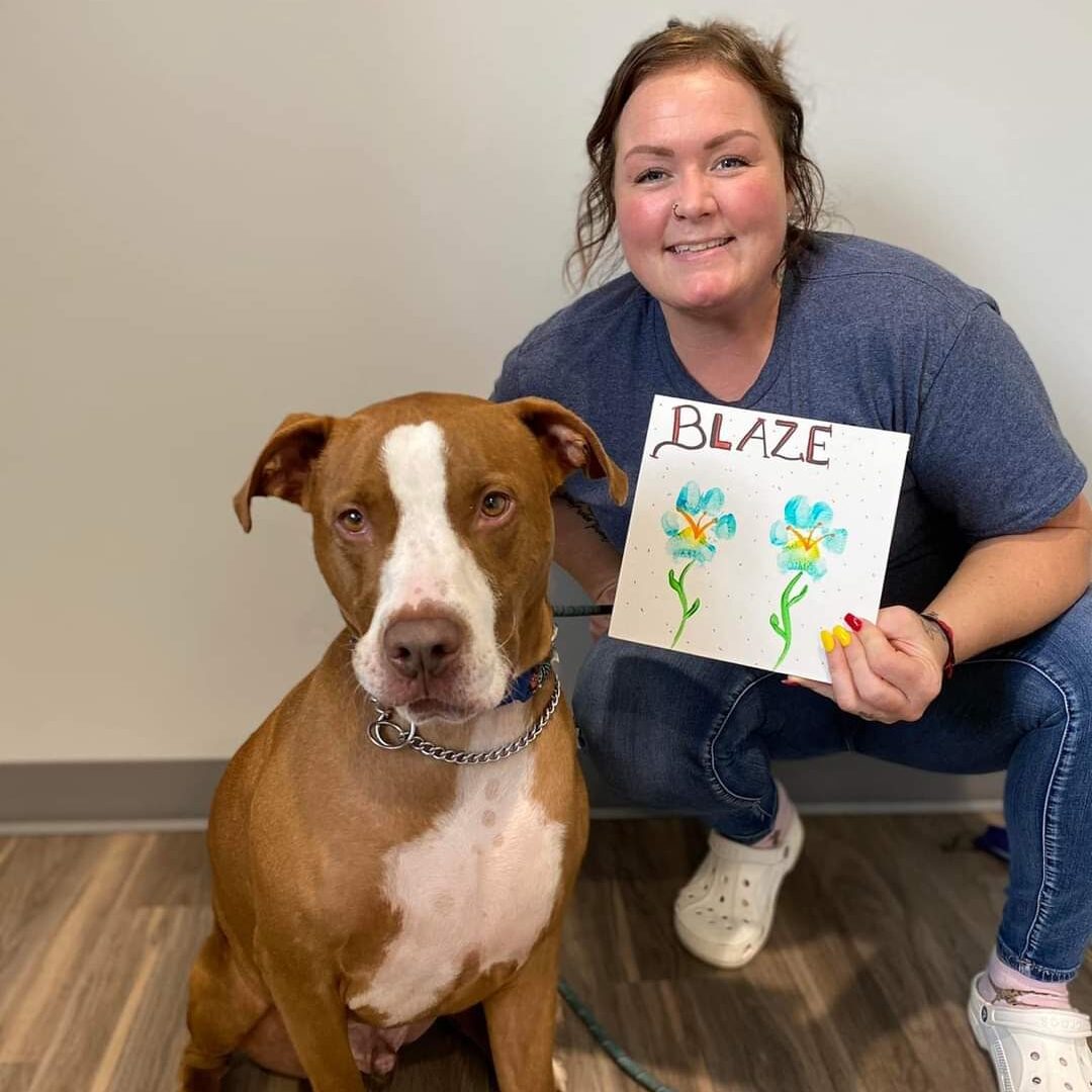 About Us - Oak Hill Veterinary Care & Pet Resort in Madison Heights VA ...