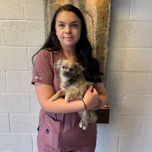 About Us - Oak Hill Veterinary Care & Pet Resort in Madison Heights VA ...