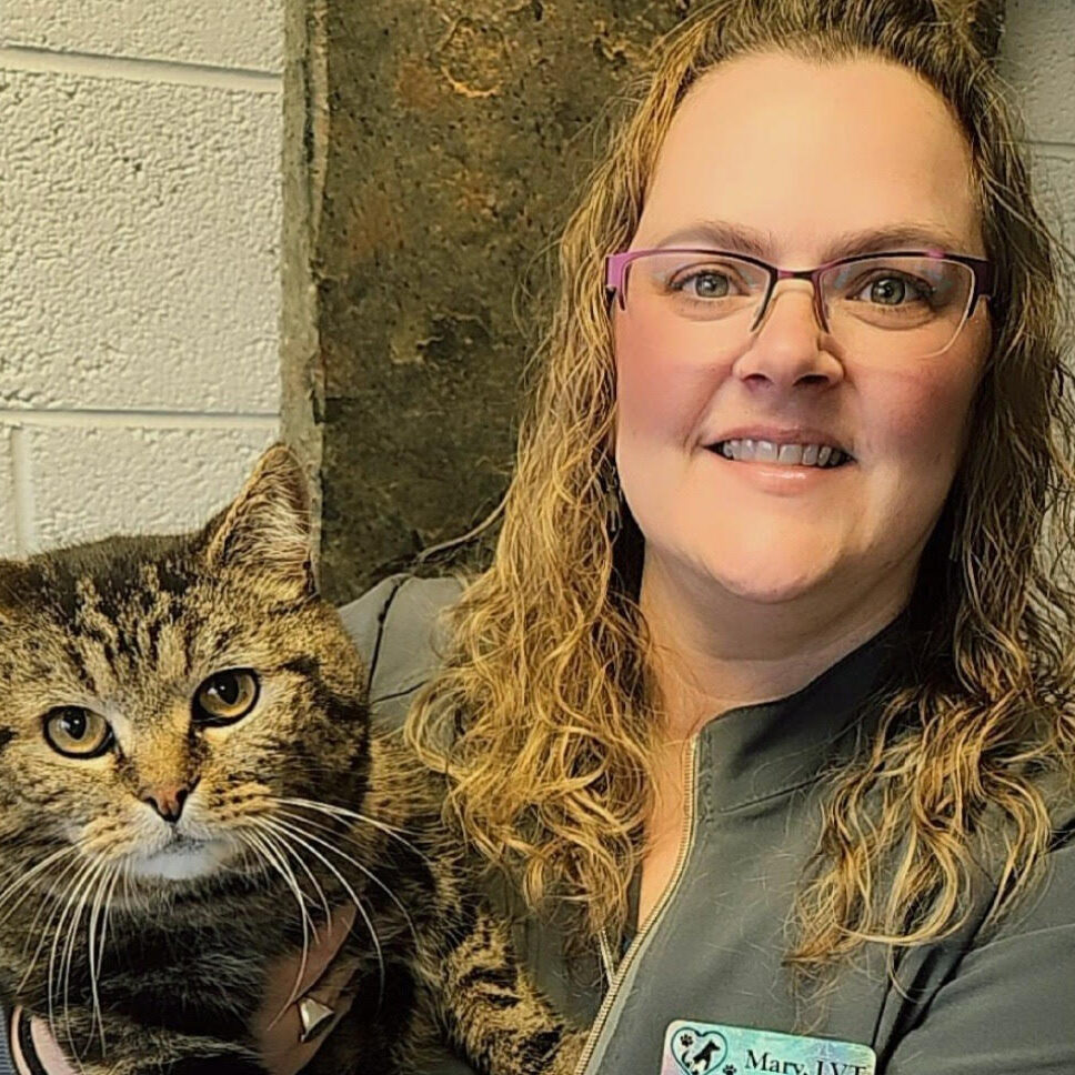 About Us - Oak Hill Veterinary Care & Pet Resort in Madison Heights VA ...